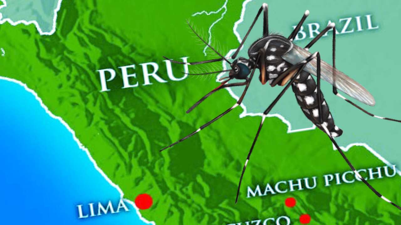 Nuevo brote de Dengue en Perú. - Scenio