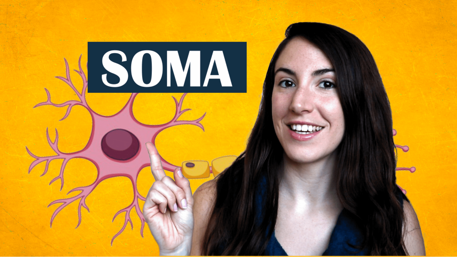 ¿Qué es el soma de las neuronas? - Scenio