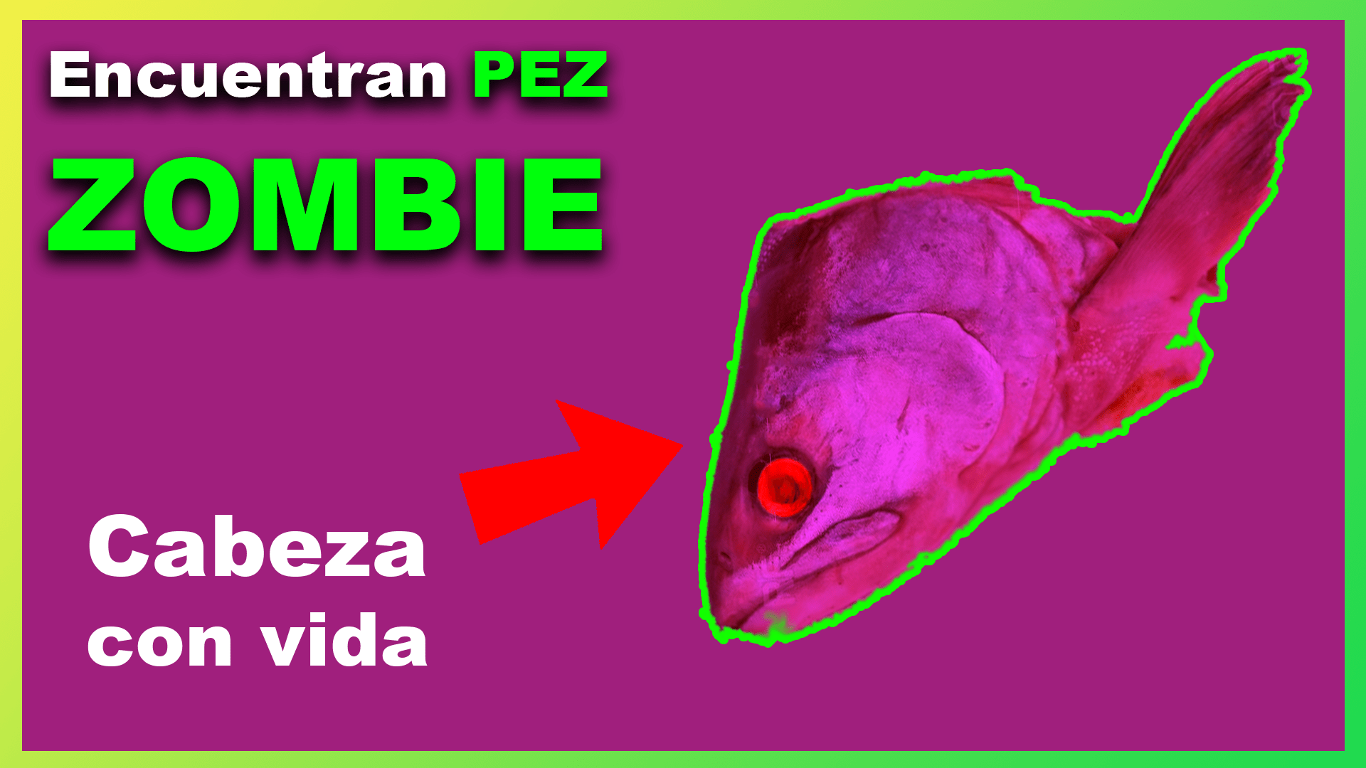 Pez ZOMBIE | Cabeza VIVA de PEZ - Scenio